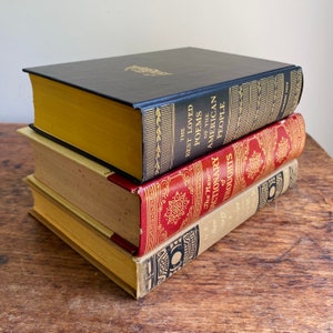 Vintage Decorative Book Stack, Book Bundle, Home Decor Books, Patterned ...