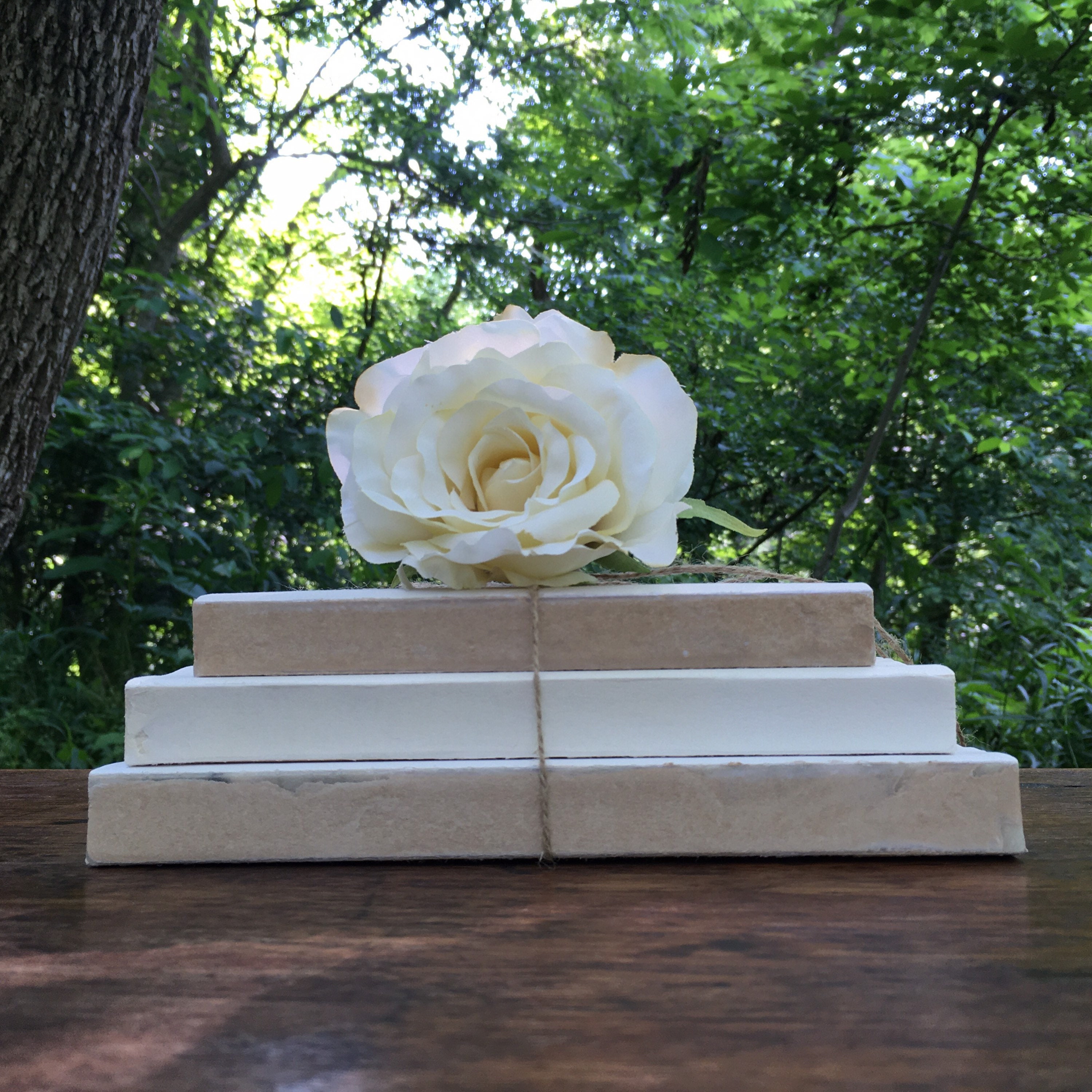 Beige and Cream Farmhouse Book Stack Decorative Books Book | Etsy