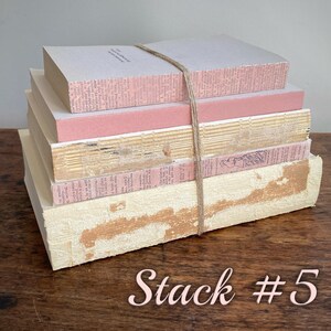 Rustic Decorative Book Set in Dusty Rose and Beige - Etsy