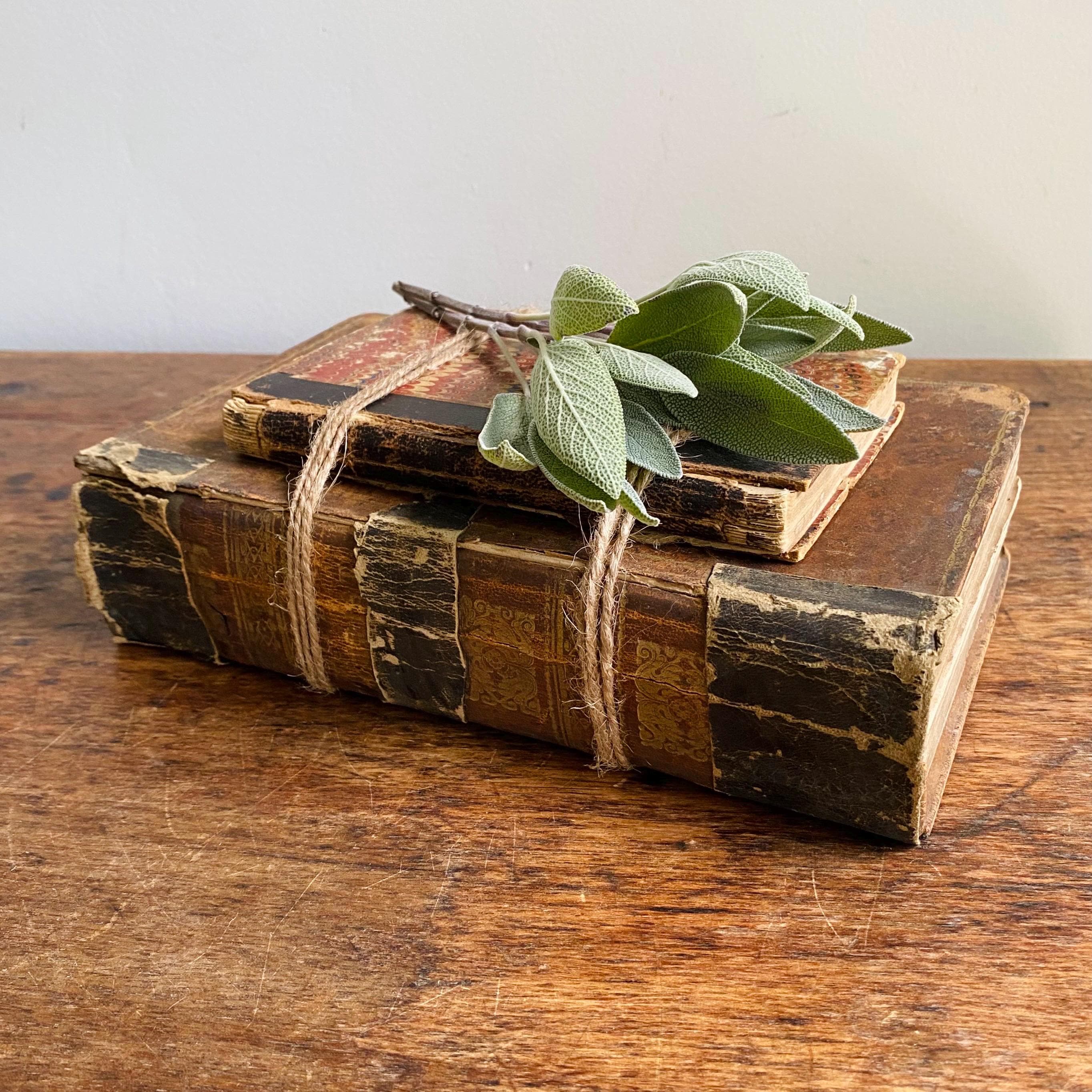 1800s Rustic Books Set, Antique Book Stack - Etsy