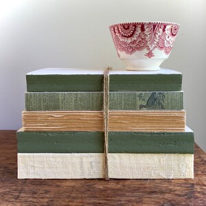 Olive and Beige Rustic Book Set - Etsy