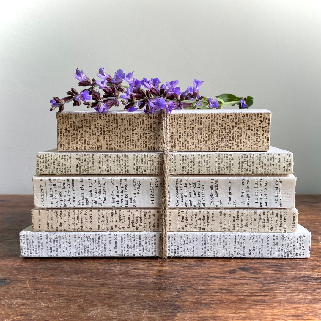 Tan and Ivory Books, Neutral Rustic Decorative Farmhouse Book Stacks ...