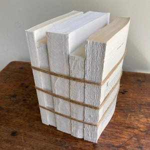 Coverless Rustic White Decorative Book Set - Etsy