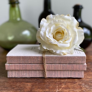 Blush Pink Books, Dusty Rose Book Stack - Etsy