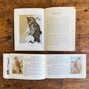 Vintage Bird Field Guides, Bird Guide: Land Birds East of the Rockies ...