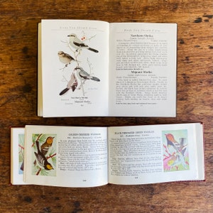Vintage Bird Field Guides, Bird Guide: Land Birds East of the Rockies ...
