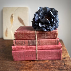 Rustic Red Vintage Book Stack - Etsy
