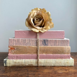 Rustic Decorative Book Set in Dusty Rose and Beige - Etsy