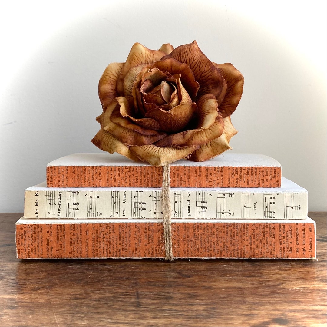 Burnt Orange Book Stack, Vintage Look Stacked Books - Etsy