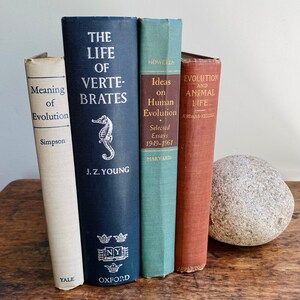 Vintage Stack of Books About Animal Life and Evolution, Old Science ...