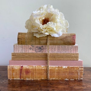 Rustic Decorative Book Set in Dusty Rose and Beige - Etsy