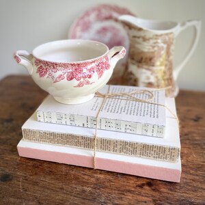 Pink and Tan Book Stack, Blush and Beige Books, Home Decor - Etsy