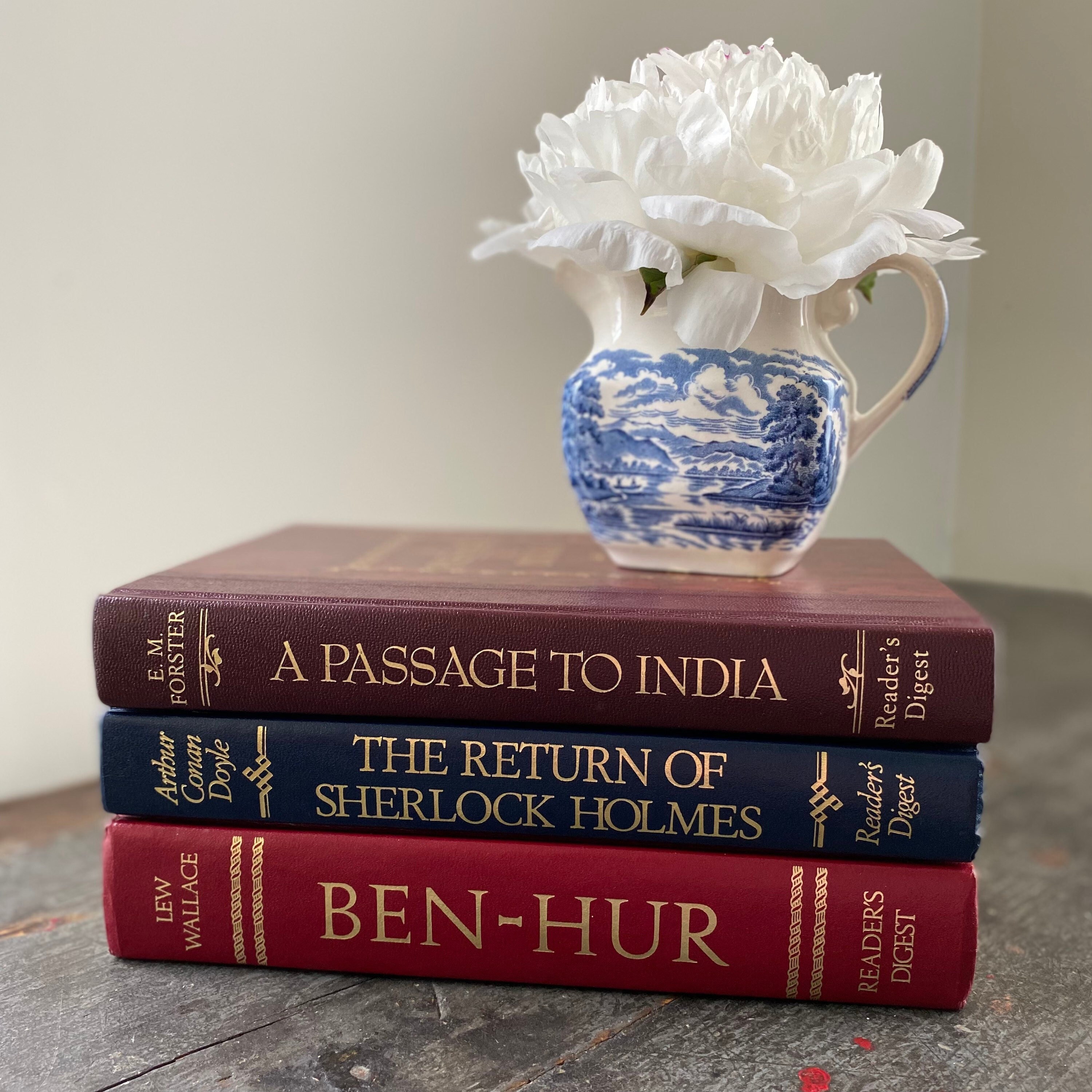 Classical Literature Stack A Passage to India Ben-hur and - Etsy