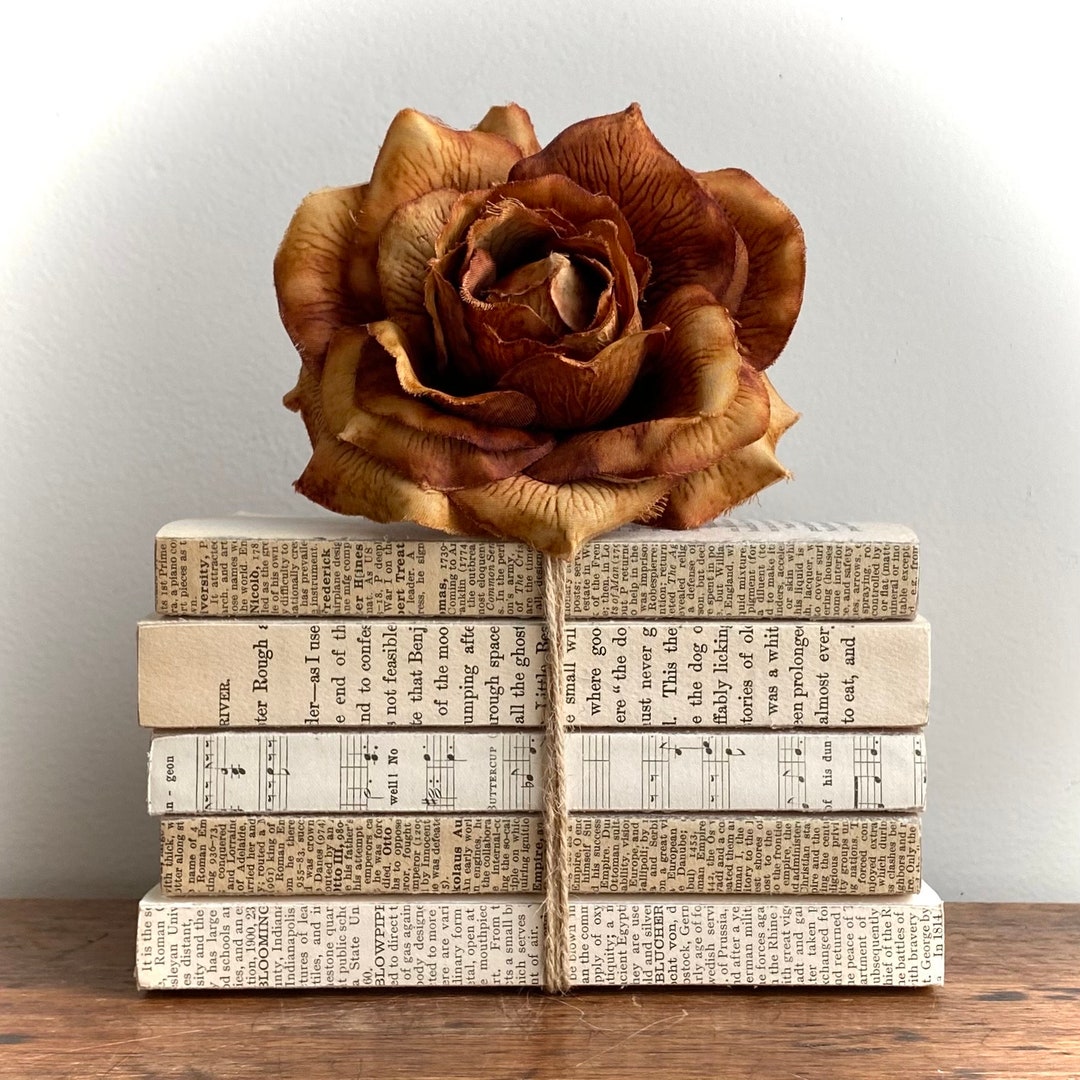 Rustic Decorative Book Set in Shades of Aged Book Pages, Beige Tan ...