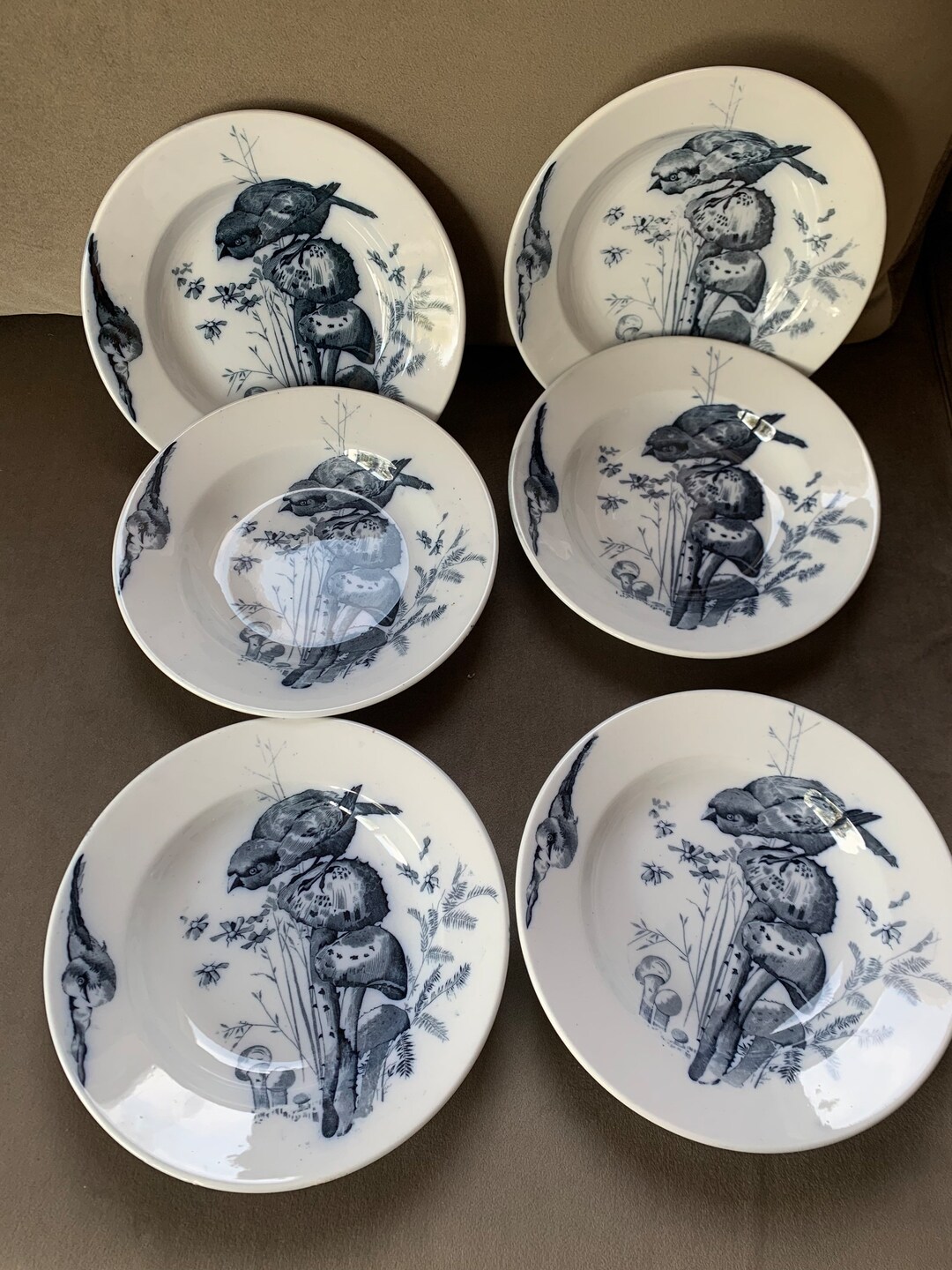 Plata Petrus Regout 6x Antique Bird Plates 1900. - Etsy