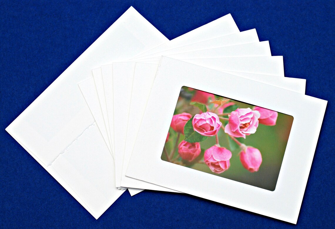 Nature Art Photo Greeting Cards: Nature's Spring Beauty in - Etsy