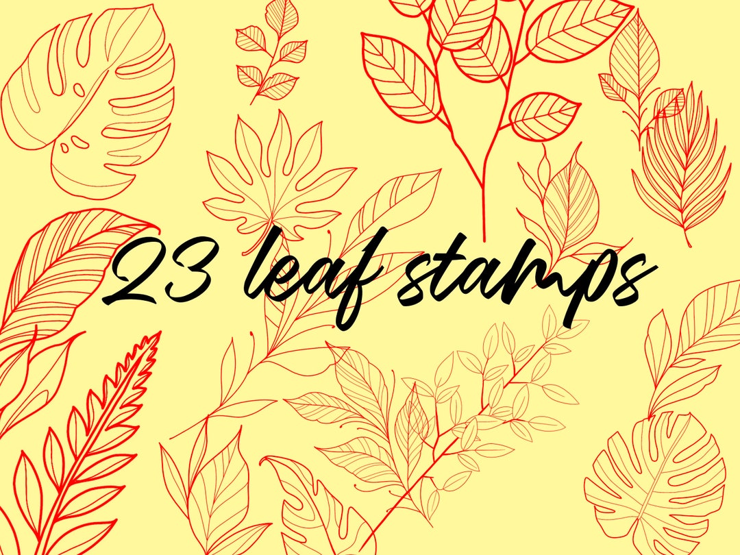 Leaf Stamps for Procreate - Etsy