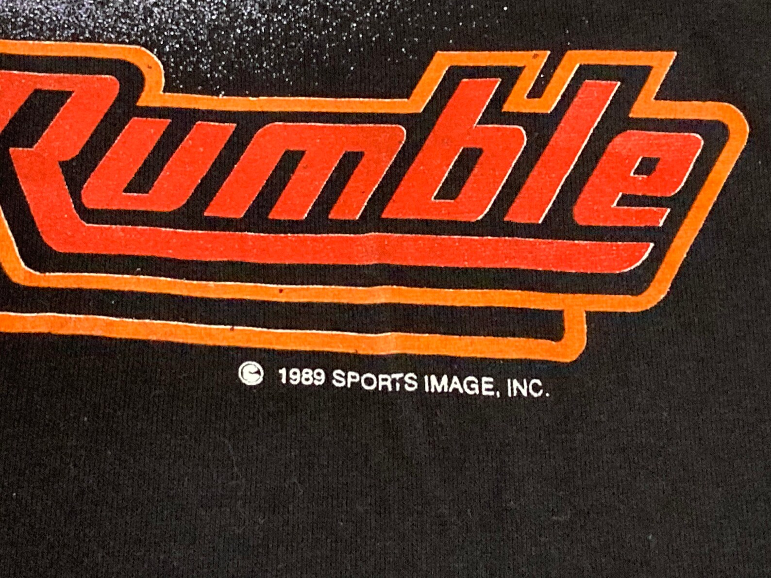 Vintage 1989 Dale Earnhardt Ready to Rumble Shirt Tagged L - Etsy