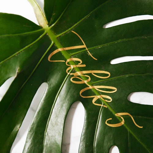 Monstera Leaf Table Numbers Monstera Leaves Tropical Leaf - Etsy