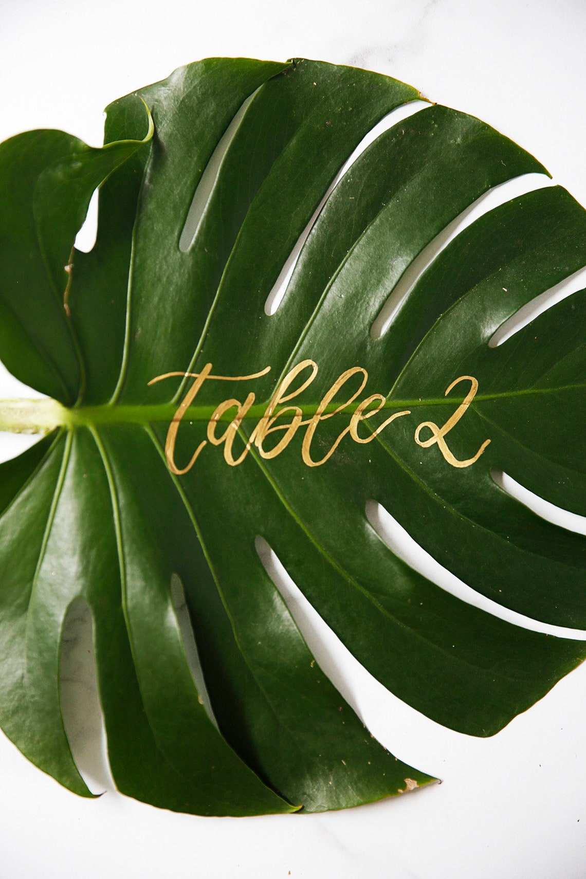 Monstera Leaf Table Numbers Monstera Leaves Tropical Leaf - Etsy