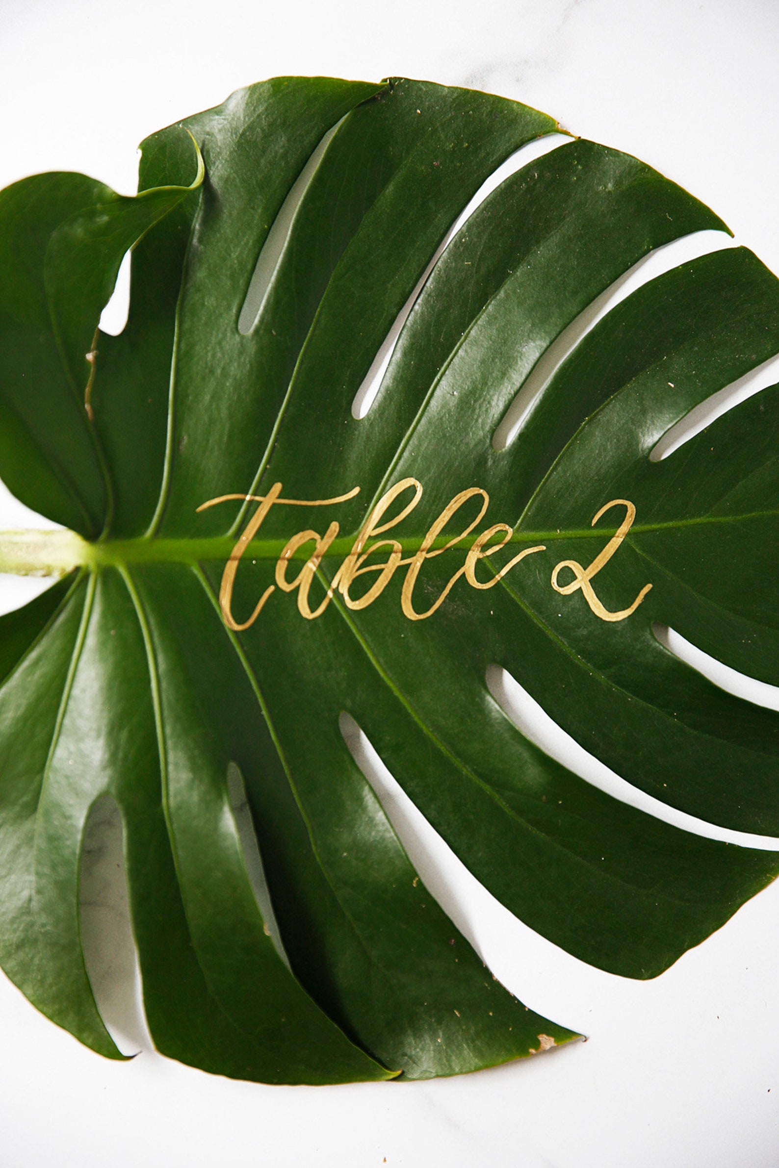 Monstera Leaf Table Numbers, Monstera Leaves, Tropical Leaf Table ...