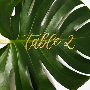 Monstera Leaf Table Numbers, Monstera Leaves, Tropical Leaf Table ...