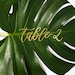 Monstera Leaf Table Numbers, Monstera Leaves, Tropical Leaf Table ...