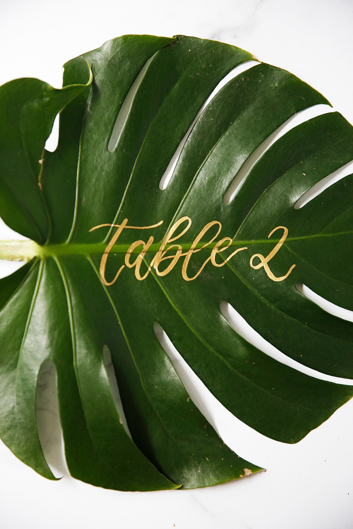 Monstera Leaf Table Numbers Monstera Leaves Tropical Leaf - Etsy