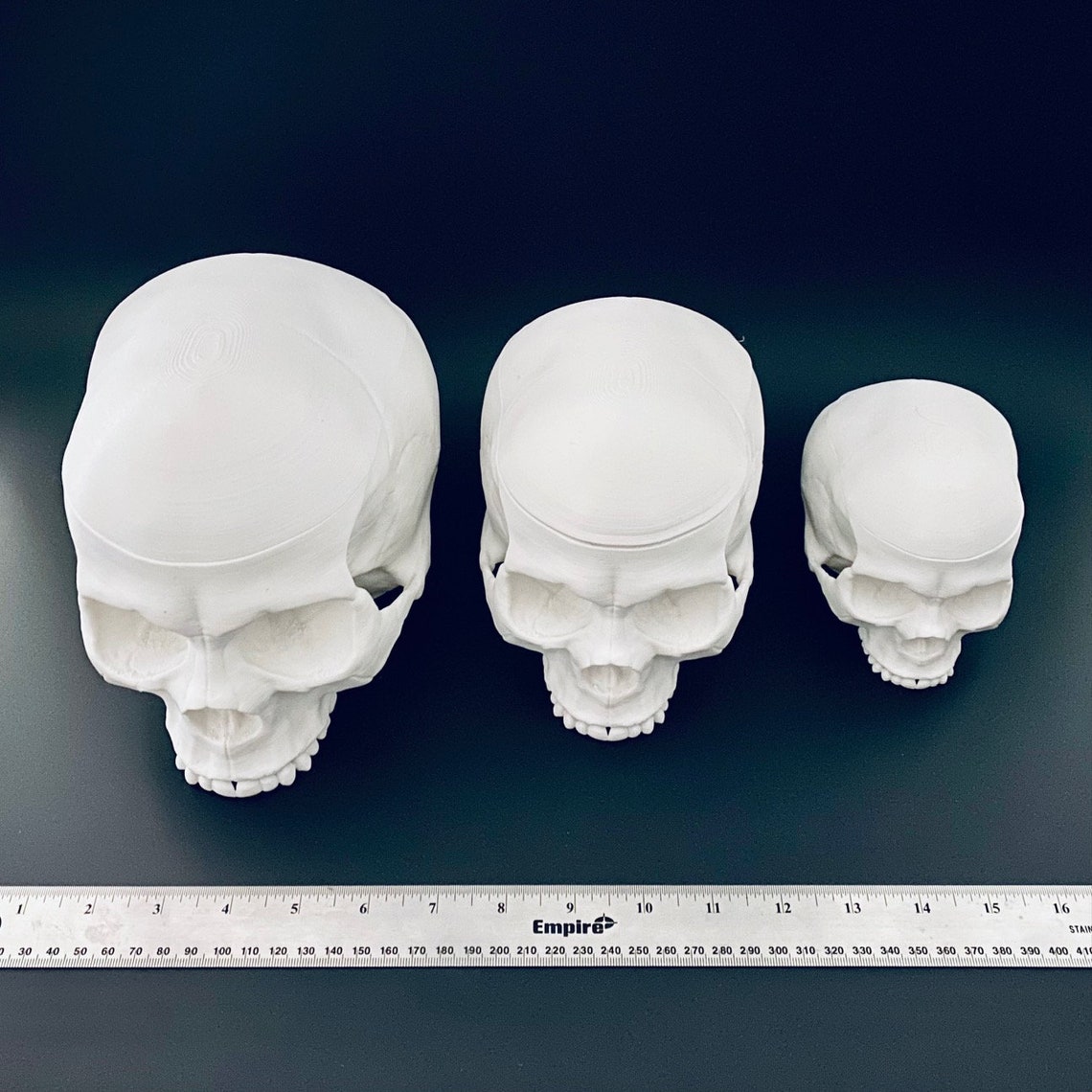 High Detail Human Skull Container Goth Storage Solution - Etsy