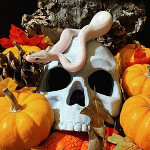 Skull Reptile Hide - Arachnid Hide - Lizard, Spider, Turtle House ...