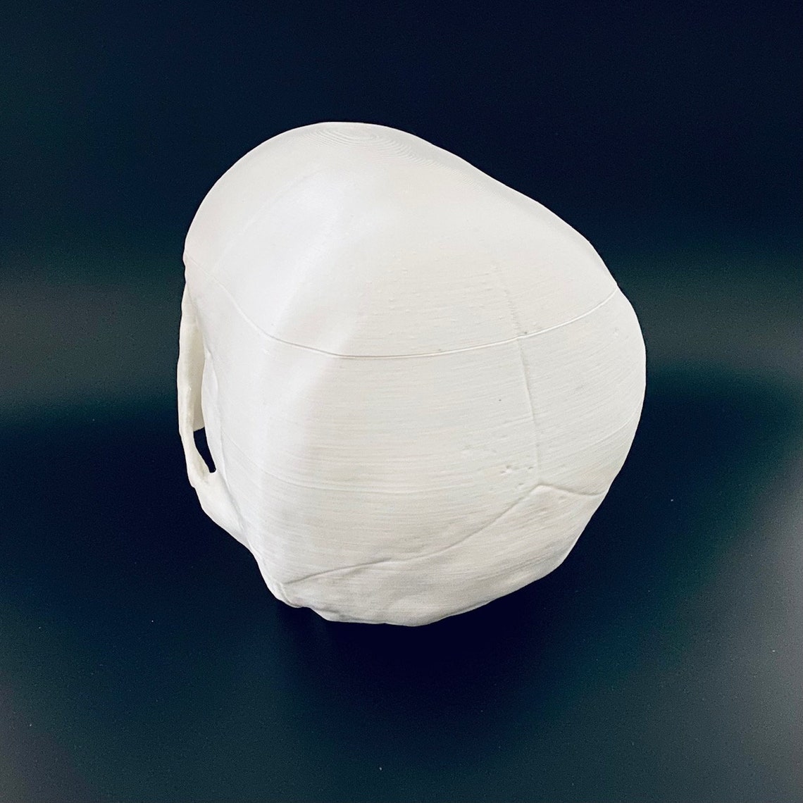 High Detail Human Skull Container Goth Storage Solution - Etsy