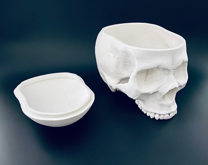 High Detail Human Skull Container Goth Storage Solution - Etsy