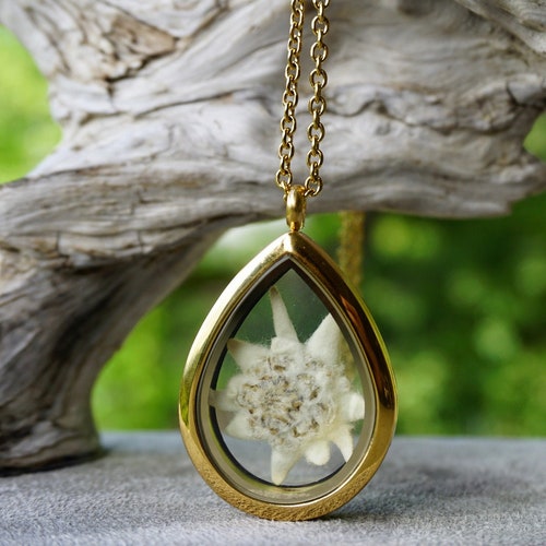 Real Pressed Edelweiss Locket Romantic Flower of the Alps - Etsy
