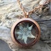Dried Edelweiss Flower Locket Necklace, German Bavarian Swiss Austrian ...