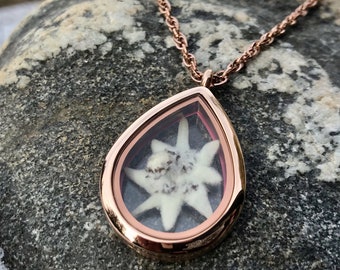 Edelweiss Locket Necklace - Etsy