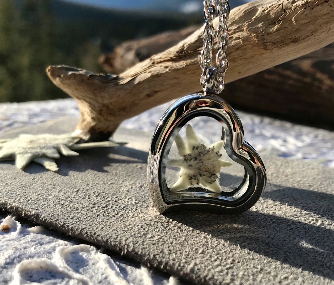 Edelweiss Heart Locket Terrarium Necklace, Stainless Steel Glass ...