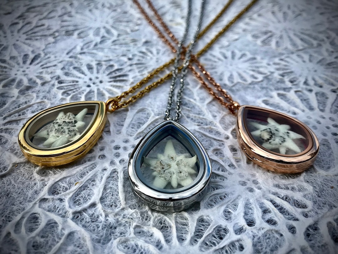 Dried Edelweiss Flower Locket Necklace, German Bavarian Swiss Austrian ...