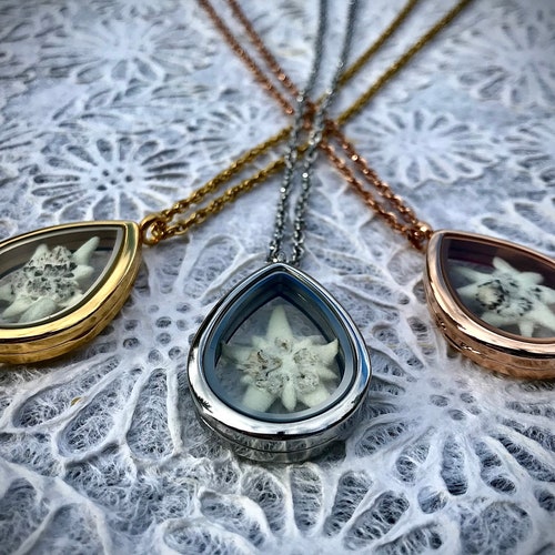 Dried Edelweiss Flower Locket Necklace German Bavarian Swiss | Etsy