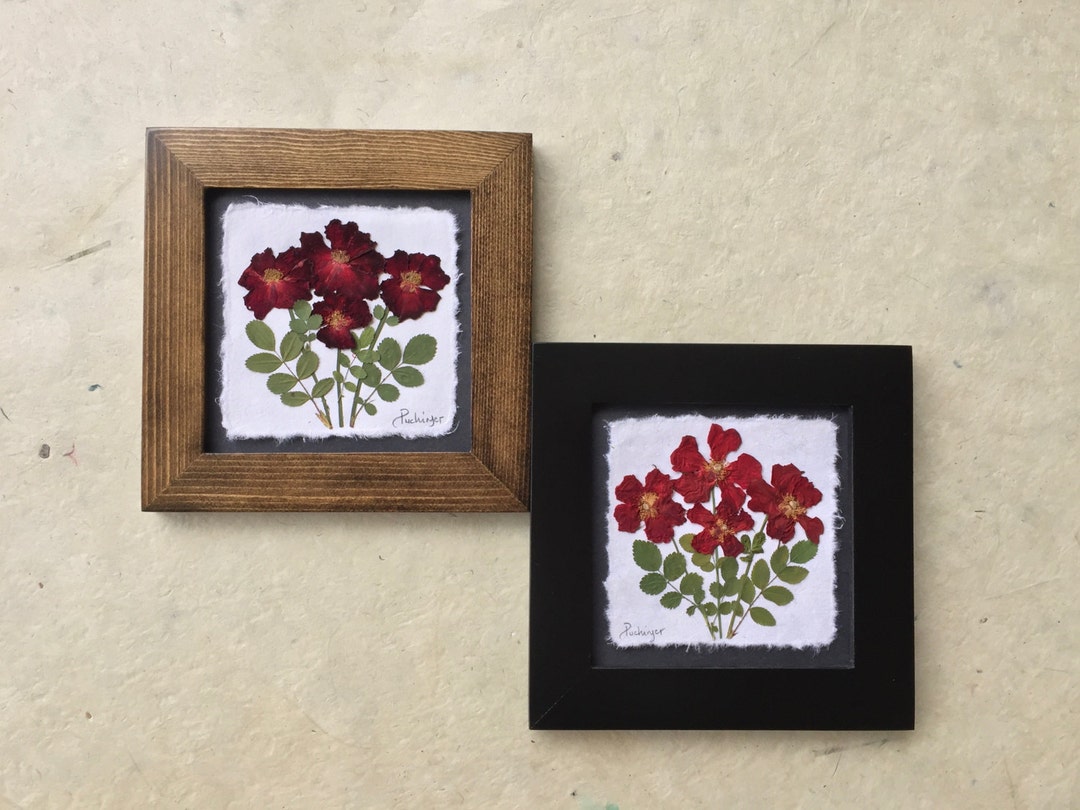 Real Pressed Red Rose Framed Picture Artwork Valentines Gift | Pressed ...