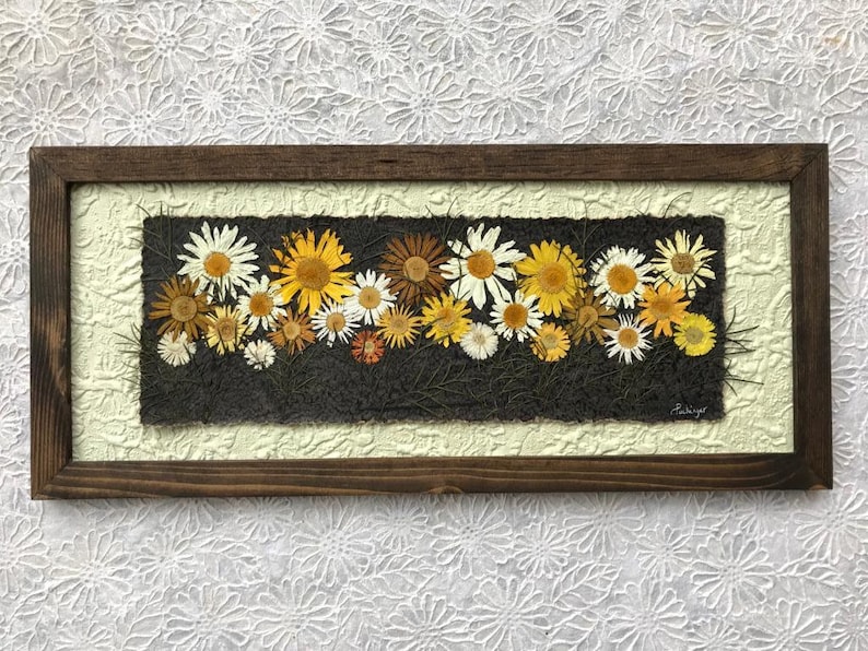 Real Pressed Daisy Framed Picture Artwork by Pressed Wishes - Etsy