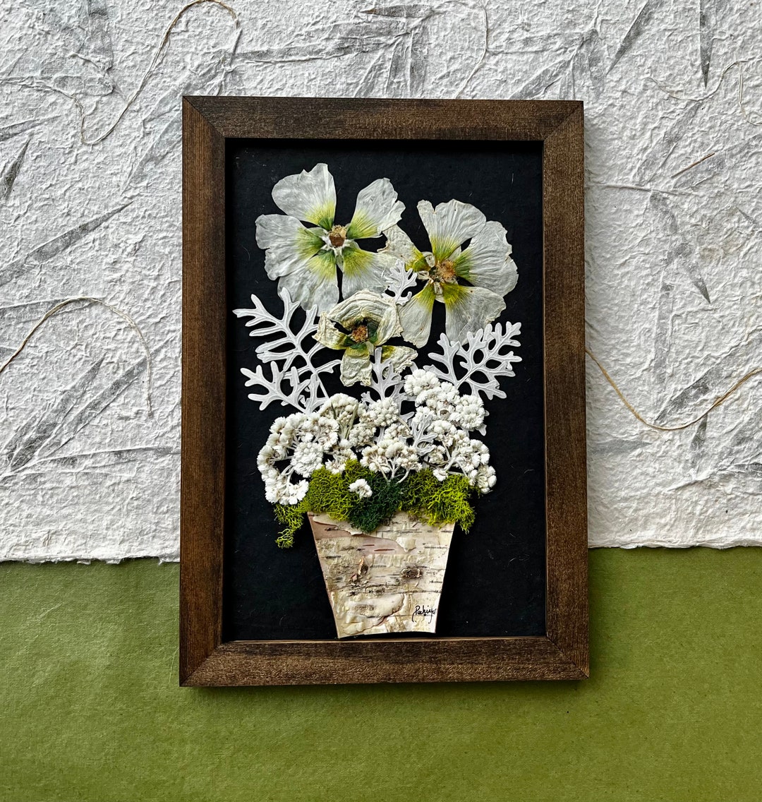 Pressed Hollyhock Picture, Real Preserved Hollyhock Framed Artwork by ...