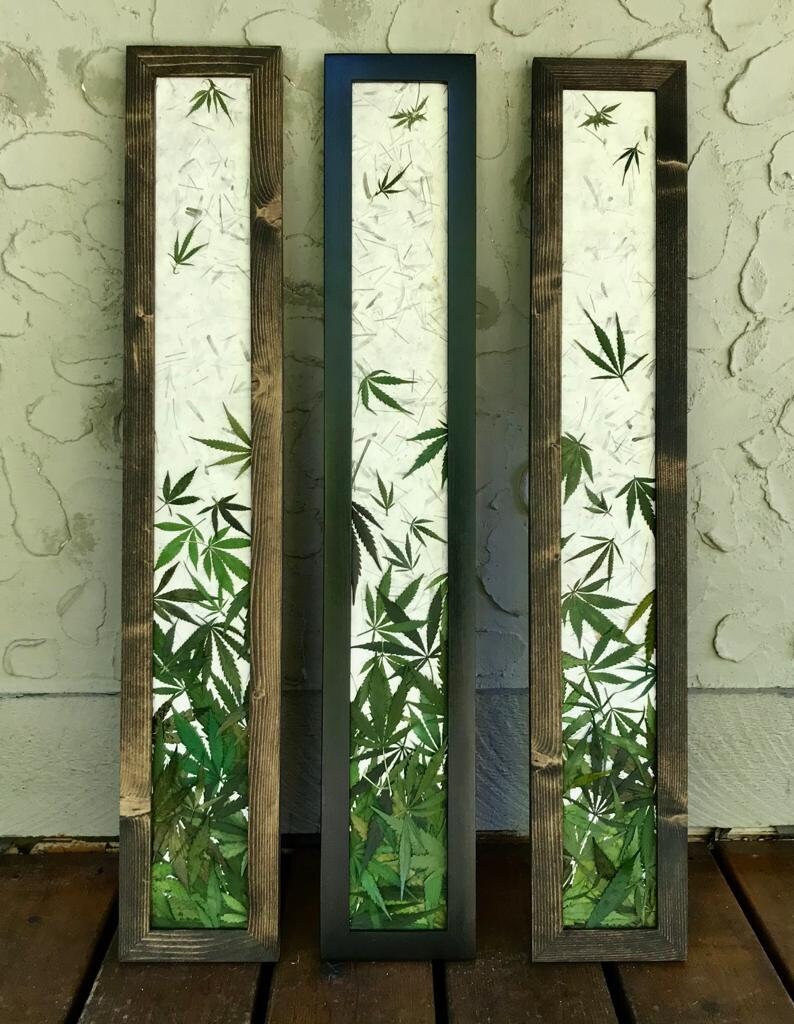 Real Pressed Cannabis Leaf SKINNY Framed Picture Framed | Etsy