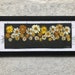 Real Pressed Daisy Panoramic Framed Picture Wall Art Dried - Etsy
