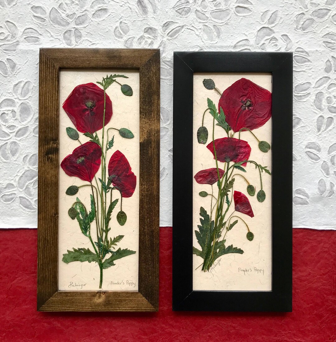 Signed Original Pressed Poppy Art: Flanders Field Flowers, Solid Wood ...