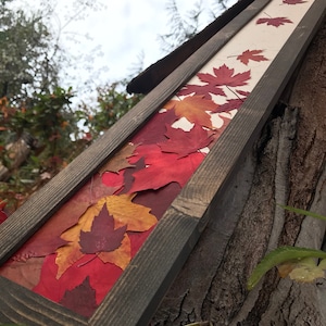 THE SKINNY Red Maple Leaf Framed Signed ORIGINAL Artwork; Real Pressed ...