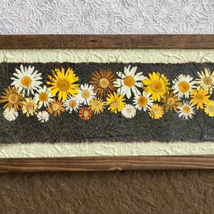 Real Pressed Daisy Framed Picture Artwork by Pressed Wishes SIGNED ...