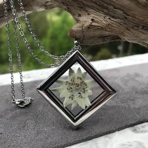 Pressed Edelweiss Diamond Locket Necklace Silver Stainless - Etsy Canada