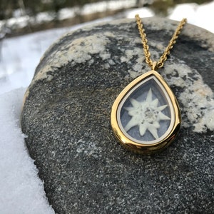 Preserved Dried Edelweiss Flower Locket Pendant Necklace Gold Finish ...