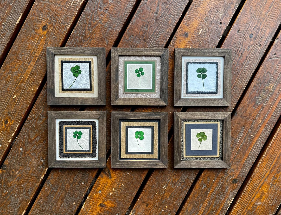 REAL Pressed Lucky 4 Leaf Clover Framed Signed Original Dried Shamrock ...