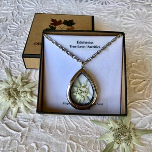 Real Pressed Edelweiss Locket | Romantic Flower of the Alps Silver ...